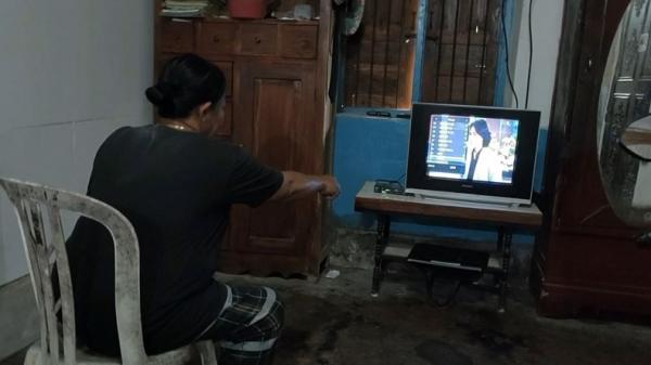 Diburu Konsumen, Harga STB di Boyolali Merangkak Naik Diburu Konsumen, Harga STB di Boyolali Merangkak Naik