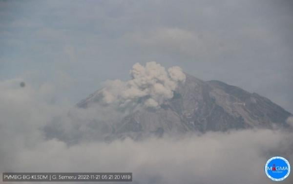Gunung Semeru Erupsi Keluarkan Abu Vulkanik Setinggi 400 Meter