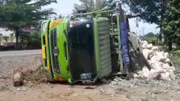 Hindari Motor, Truk Tronton Muatan 20 Ton Semen Terguling di Tulang Bawang