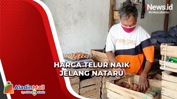 Jelang Natal dan Tahun Baru, Harga Telur Mulai Merangkak Naik