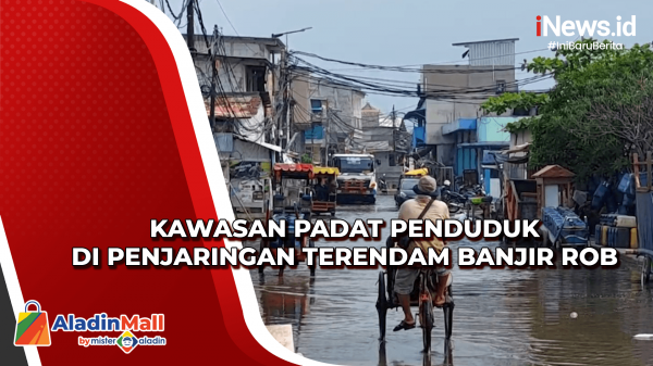 Dihantam Banjir Rob, Ratusan Rumah Warga Penjaringan Terendam Air