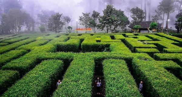 5 Taman Labirin Paling Unik di Indonesia, Rutenya Sulit dan Bikin Penasaran