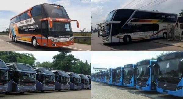 5 PO Bus Terbesar di Indonesia Punya Banyak Anak Perusahaan, Miliki ...