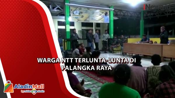 Dijanjikan Gaji Tinggi di Perusahaan Sawit, Puluhan Warga NTT Tertipu Dijanjikan Gaji Tinggi di Perusahaan Sawit, Puluhan Warga NTT Tertipu