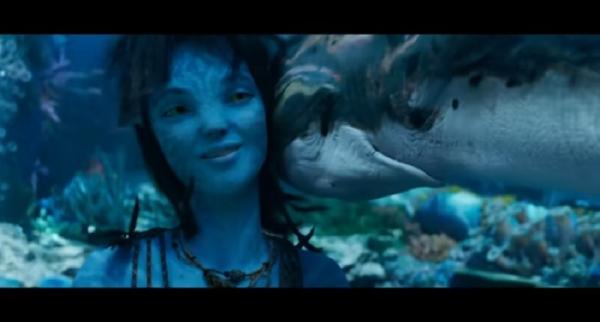 Fakta Menarik Suku Bajo Manusia Laut di Indonesia Jadi Inspirasi Film ...