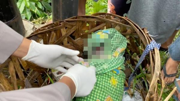 Warga Aceh Utara Geger, Mayat Bayi Mungil Ditemukan di Tong Sampah