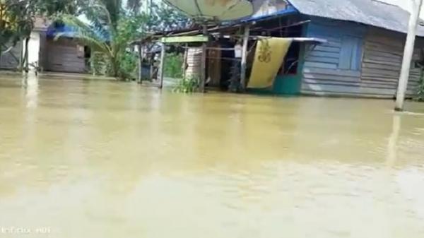 Diguyur Hujan, Permukiman Warga di Tanah Laut Terendam Banjir Diguyur Hujan, Permukiman Warga di Tanah Laut Terendam Banjir