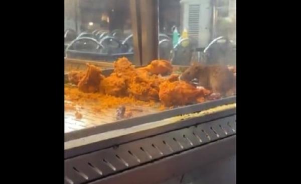 Video Viral Tikus Makan Ayam Goreng di Etalase, Kedai Makanan Langsung ...
