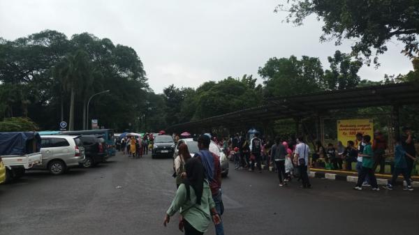 Hujan Deras, Kebun Binatang Ragunan Tetap Ramai Pengunjung Hujan Deras, Kebun Binatang Ragunan Tetap Ramai Pengunjung