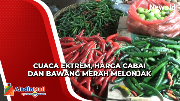 Harga Cabai dan Bawang Merah Melonjak Dampak Cuaca Ektrem, Berikut Rinciannya