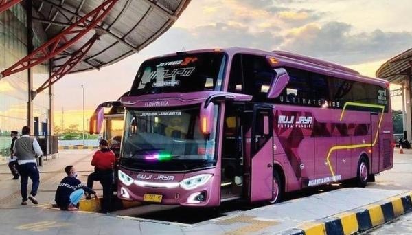 Kisah Pemilik PO Muji Jaya Bawa Uang Sekarung Beli 6 Bus Mercy Cash ...