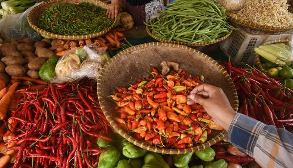 Harga Cabai di Palangka Raya Turun, Stok Aman hingga Ramadan