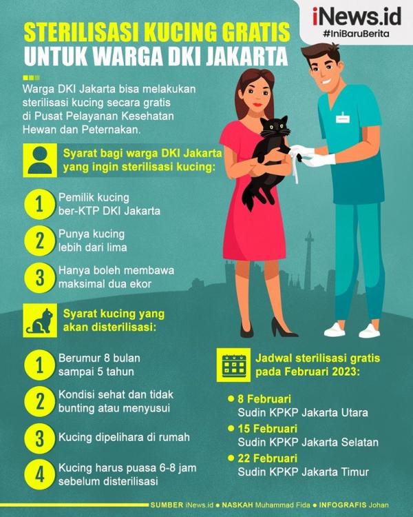 Infografis Sterilisasi Kucing Gratis untuk Warga DKI Jakarta