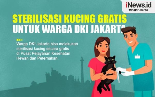 Infografis Sterilisasi Kucing Gratis untuk Warga DKI Jakarta