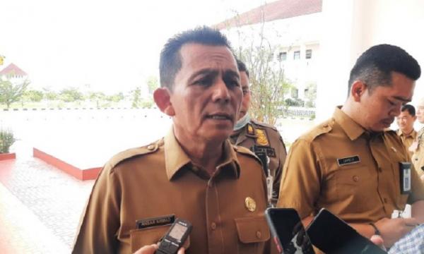 Ansar Ahmad Siap Maju Pilgub Kepri, Belum Putuskan Cawagub