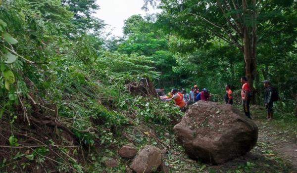 Longsor, Jalan Penghubung Desa di Jember Tertutup Batu Besar dan Pohon Tumbang