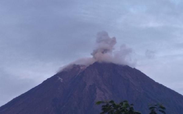 Gunung Semeru Erupsi Selasa Pagi, Ketinggian Abu Vulkanik 800 Meter di Atas Puncak