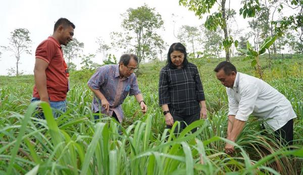 Astra melalui YDBA Resmikan Lembaga Pengembangan Bisnis di Lebak Banten