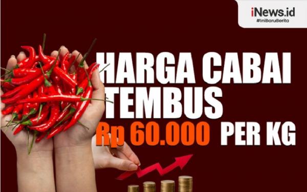 Infografis Harga Cabai di Palangka Raya Tembus Rp60.000 per Kg