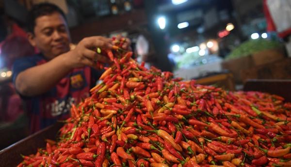 Harga Cabai Rawit Naik Jelang Ramadan Tahun Ini