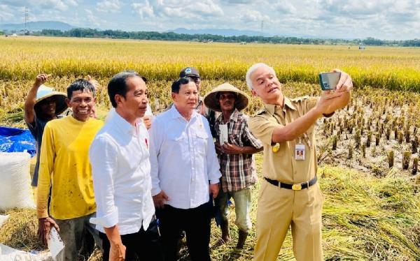 Momen Jokowi, Prabowo, dan Ganjar Tinjau Panen Raya di Kebumen: Ngobrol hingga Wefie