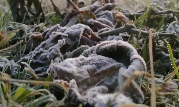 Embun Es Dieng Pertama di Tahun 2023 Muncul jelang Ramadan, Ini ...