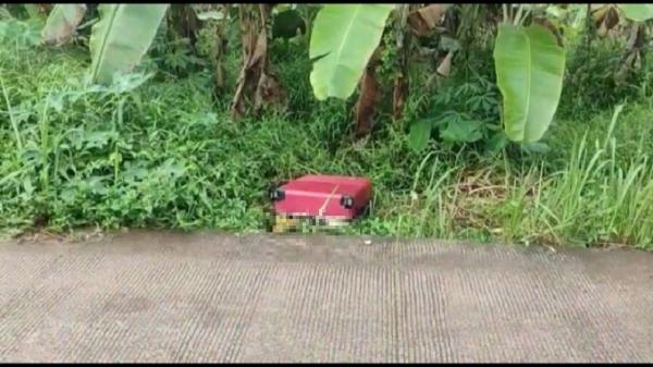 5 Fakta Penemuan Mayat dalam Koper di Tenjo Bogor, Nomor 3 Ungkap Umur ...