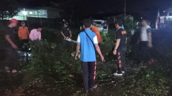 Diterjang Hujan Angin, Pohon dan Tiang Listrik di Lampung Utara Roboh Diterjang Hujan Angin, Pohon dan Tiang Listrik di Lampung Utara Roboh