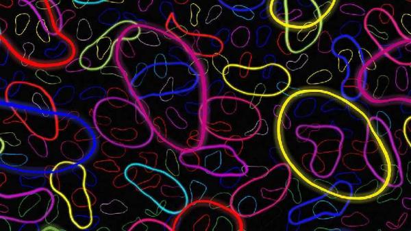 5 Teori Sains yang Dianggap Paling Rumit di Dunia, Sudah Tahu?