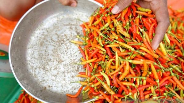 Kurang Pasokan, Harga Cabai Rawit di Palangka Raya Tembus Rp70.000 per Kg