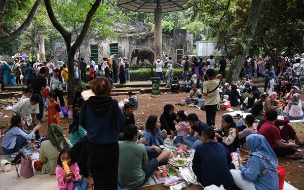 Belasan Ribu Wisatawan Padati Taman Margasatwa Ragunan