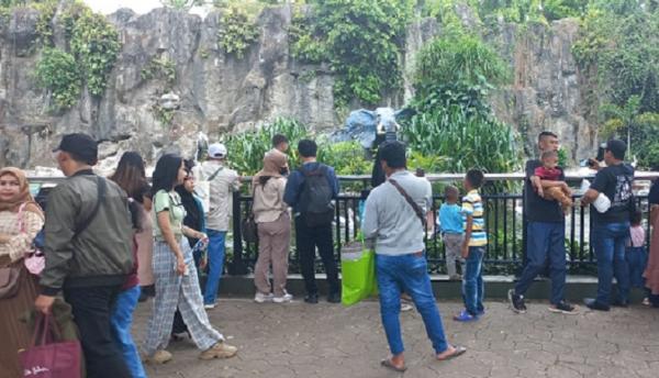 Ragunan Terus Buka hingga 1 Januari 2024, Parkir Pengunjung Siap Ditambah