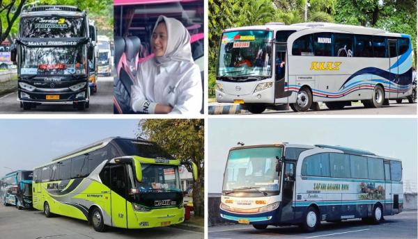 6 PO Bus Pakai Nama Pemiliknya, Nomor 5 Diwariskan ke Anak Perempuan ...