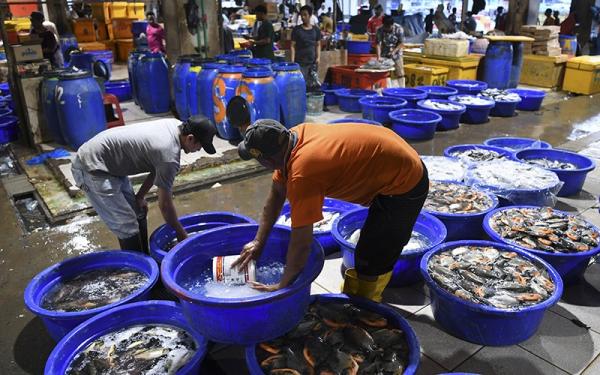 Target Ekspor Perikanan Indonesia Tahun 2023 Sebesar 7,66 Miliar Dolar AS