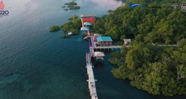 Kampung Unik di Minahasa, Hanya di Desa Ini Bisa Lihat Hutan Bakau ...