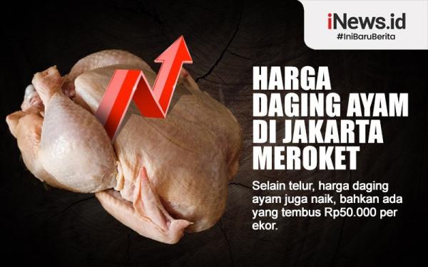 Infografis Harga Daging Ayam di Jakarta Meroket