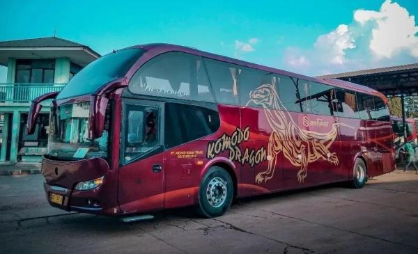 Intip Kemewahan Bus PO Sant Gold Bergambar Komodo, Pemain Baru Rute ...