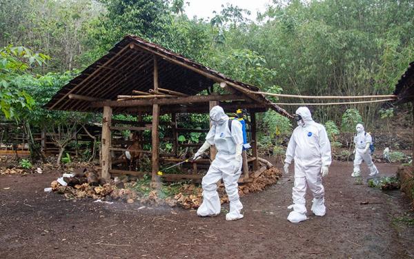 Warga Gunungkidul Meninggal usai Konsumsi Daging Sapi Terpapar Antraks