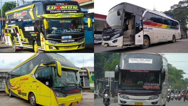 Deretan Bus Jurusan Jakarta-Cirebon, Intip Harga Tiketnya Deretan Bus Jurusan Jakarta-Cirebon, Intip Harga Tiketnya