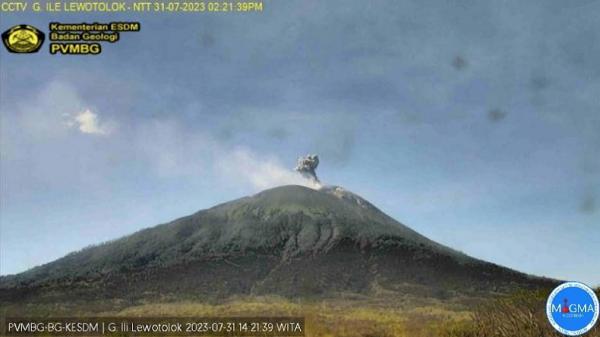 Gunung Ile Lewotolok di Lembata NTT Erupsi, Tinggi Letusan 500 Meter di Atas Puncak