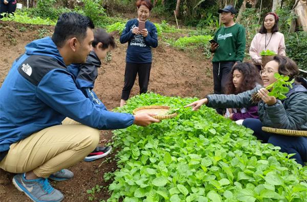 GKR Bendara Terpikat Paket Wisata Pertanian di Deswita Gerbosari Kulonprogo