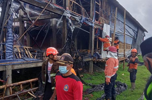 Kandang Ayam di Sleman Ludes Terbakar, Peternak Rugi Rp200 juta