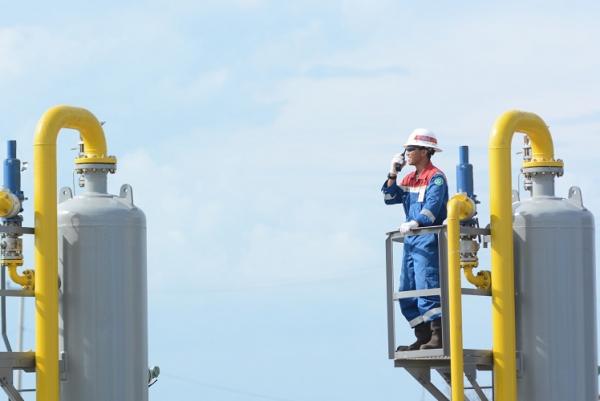 Pertamina Bakal Bangun Terminal Energi Hijau di Kalibaru Akhir 2024