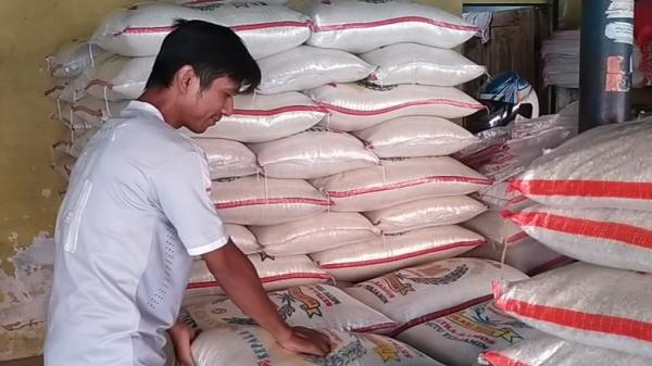 Harga Beras di Indramayu Naik, KPPU Prediksi Banyak Petani Gagal Panen
