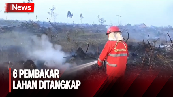 Serius Tangani Karhutla, 6 Pelaku Pembakar Lahan Ditangkap Polda Jambi