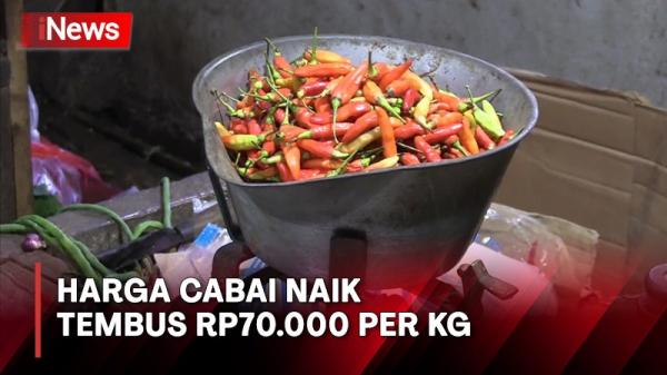 Imbas Kemarau Panjang, Harga Cabai Tembus Rp70.000 per Kilogram