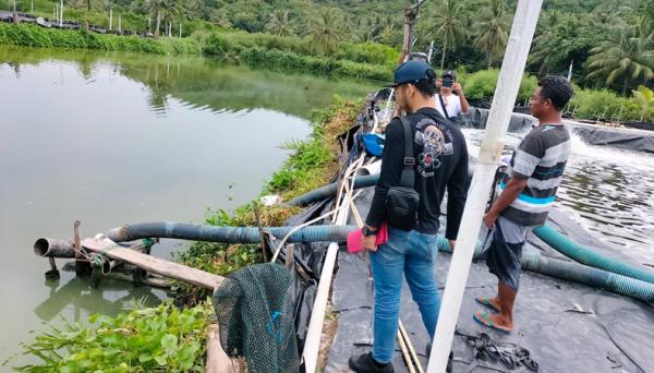 Polda Jateng Selidiki Dugaan Pencemaran Lingkungan akibat Tambak Udang di Karimunjawa