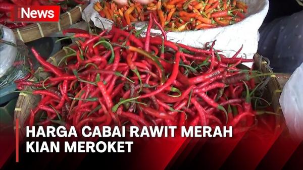 Pedas Maksimal! Harga Cabai Rawit Merah di Boyolali Tembus Rp90.000 per Kg