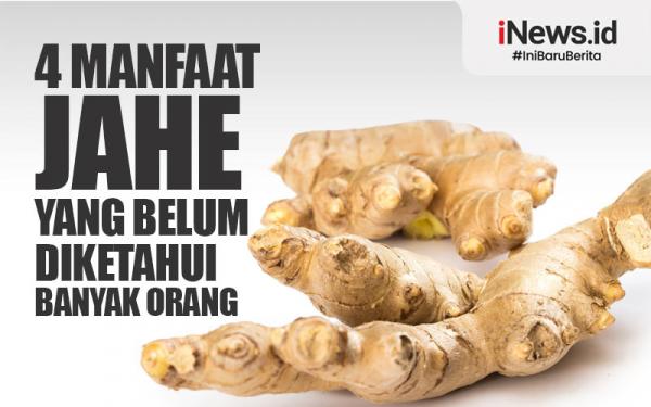 Infografis 4 Manfaat Jahe yang Belum Diketahui Banyak Orang