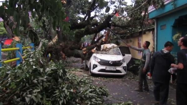 Hujan Deras Disertai Angin Kencang Landa Bandung, Pohon Besar Tumbang Timpa Mobil